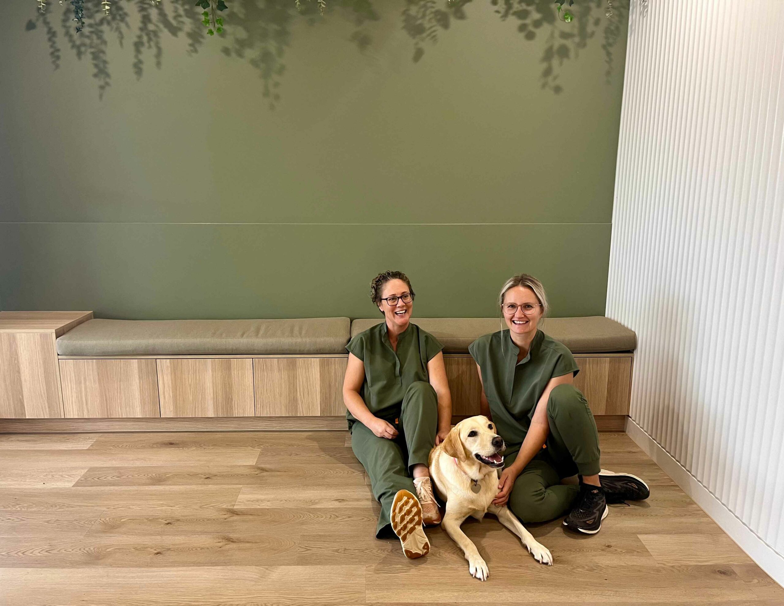 The Neighbourhood Vet Tewantin | Quality Pet Care & Advice