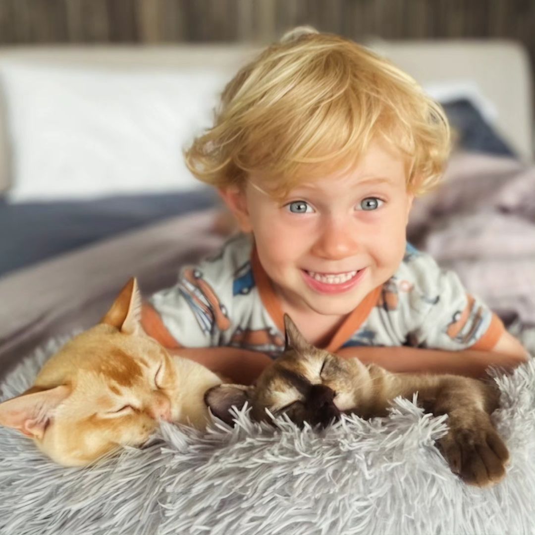 The Neighbourhood Vet Tewantin | Quality Pet Care & Advice